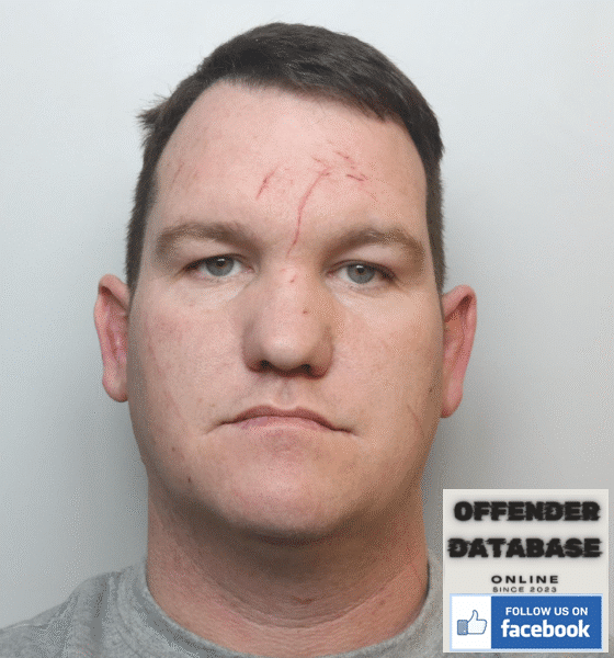 Anthony Donald Raymond Amesbury Rapist