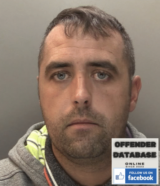 David Joseph McMullan Downpatrick Paedophile